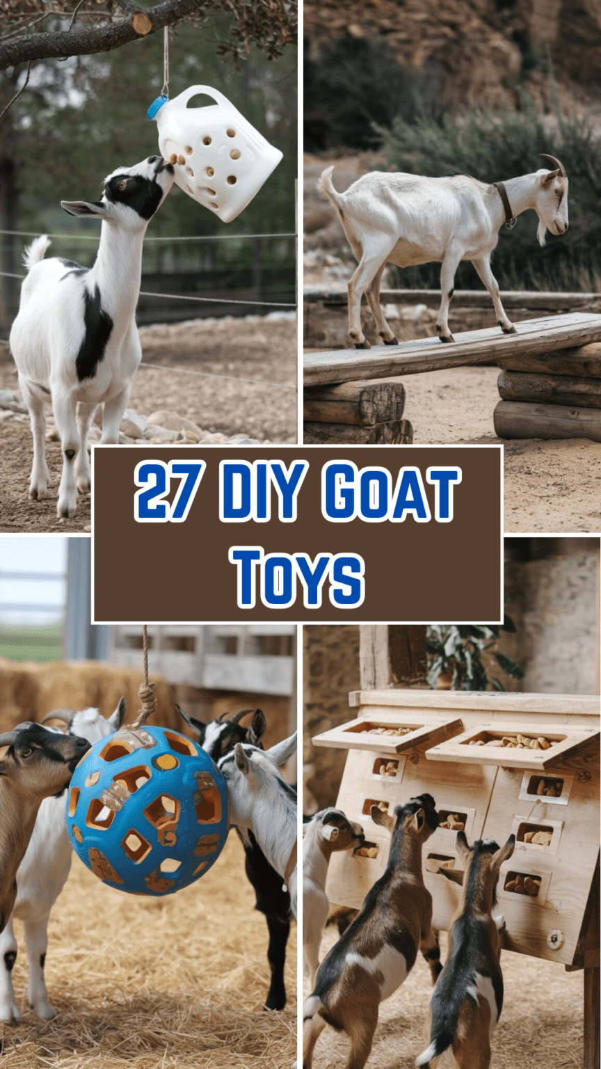 27 DIY Goat Toys – The DIY Desire