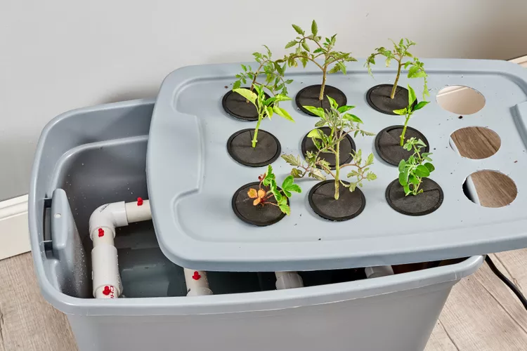 27 DIY Hydroponic System Ideas – The DIY Desire